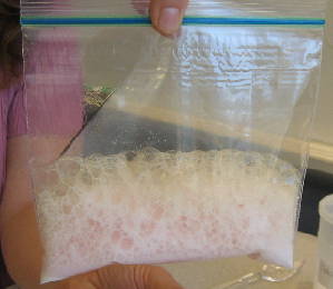 Chemical or Physical Change? Baggie Chemistry - SAS